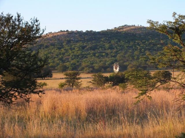 Thwane Bush Camp / The Donga - Afrikaland