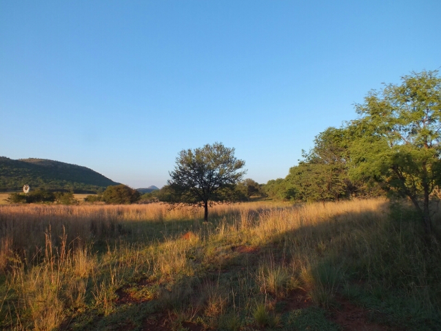 Thwane Bush Camp / The Donga - Afrikaland