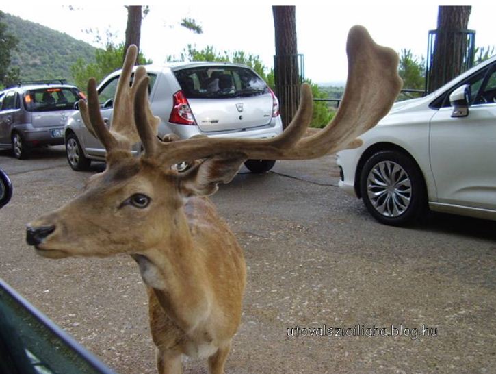 Az Adria déli részén - Autóval Szicíliába(n)