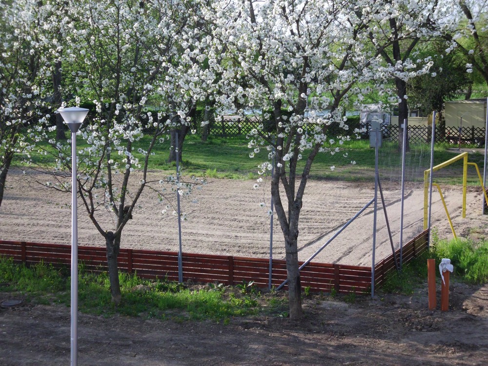 Strandfoci 2015. - Berekfürdő