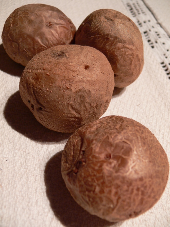 Pityóka - Blogkocsma