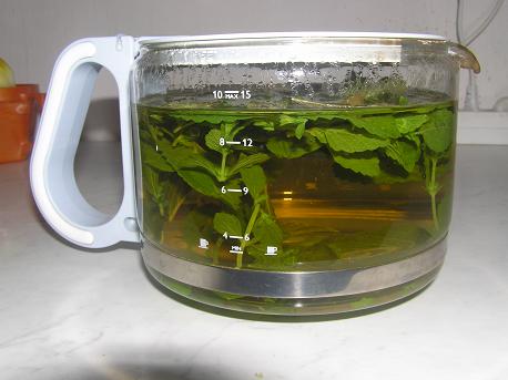 Forró tea, és jeges limonádé citromfűvel - Boróka és tárkony