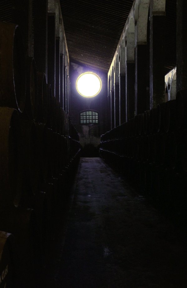 Bodegas Barbadillo - A Borrajongó