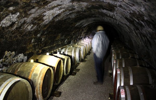 Egy délután Samuel Tinonnal - A Borrajongó