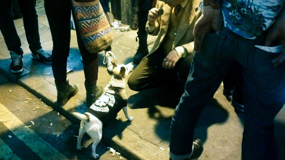 Crobar - London legtökösebb kocsmája - charivari