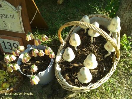 Kő Kapolcs? - Fiatal maradok!