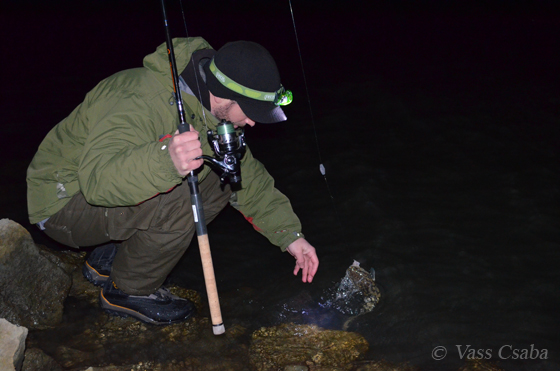 A menyhal műlegyes horgászata - Vass Csaba horgász blogja
