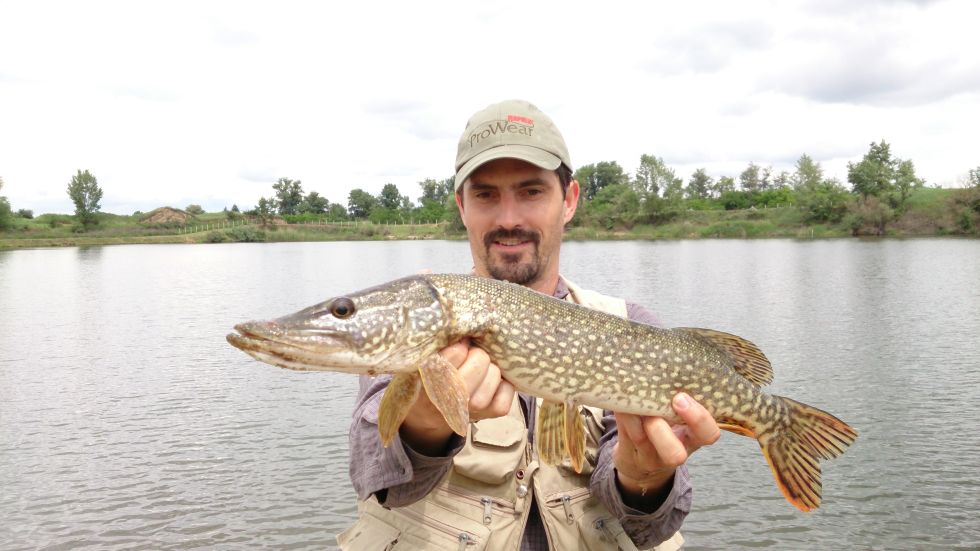 Amikor nem kell a duma - Fish&Dirt