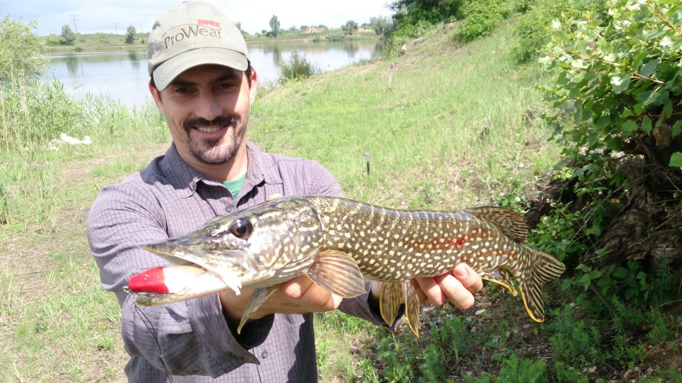 Amikor nem kell a duma - Fish&Dirt