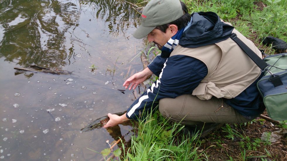 Amikor nem kell a duma - Fish&Dirt