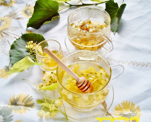 Teadélután: Hársfa tea - Fűszerek