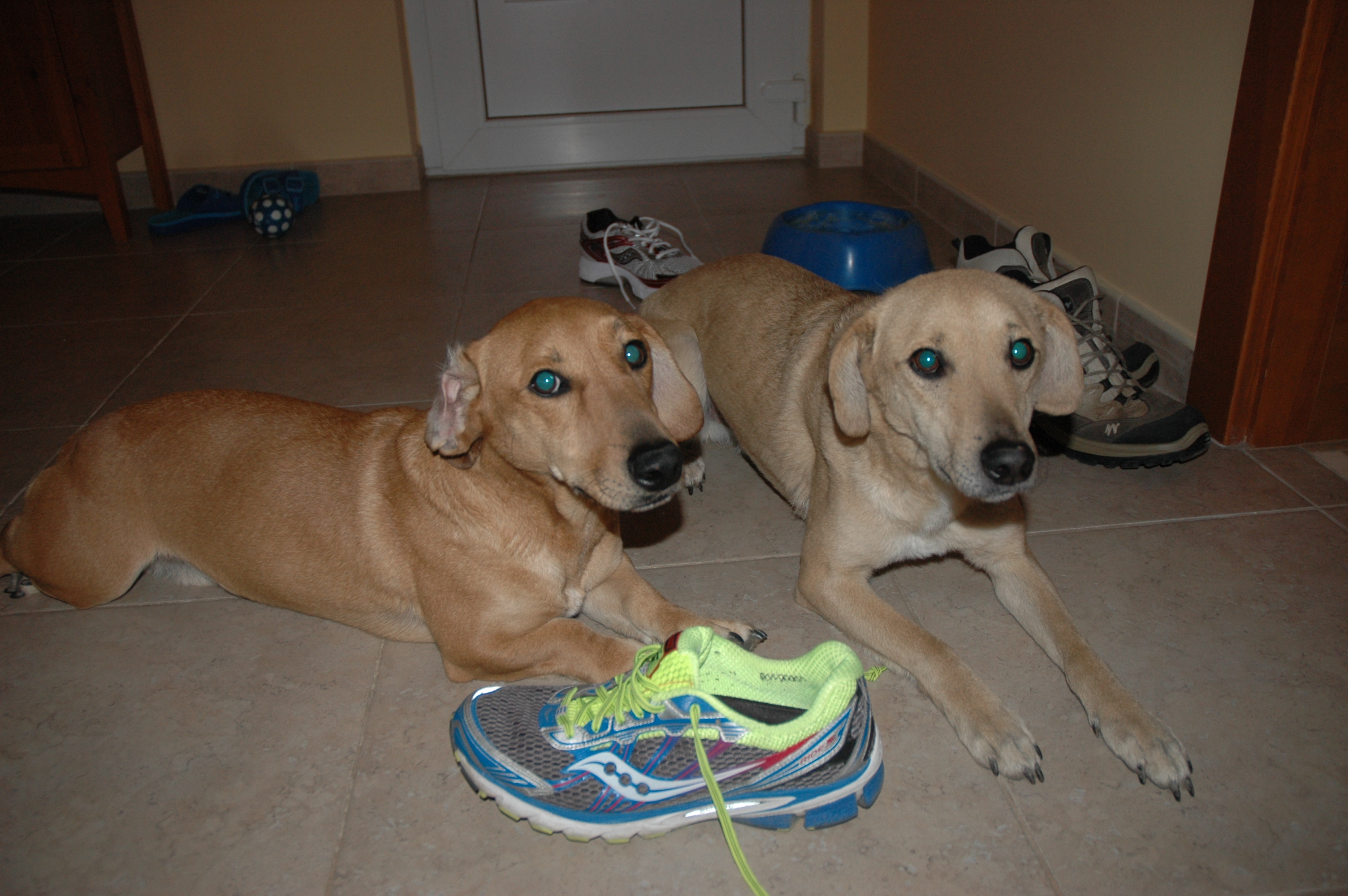 Torony, itt munkagep. Megkezdtük a lassulást. Vétel. - Futni jó!