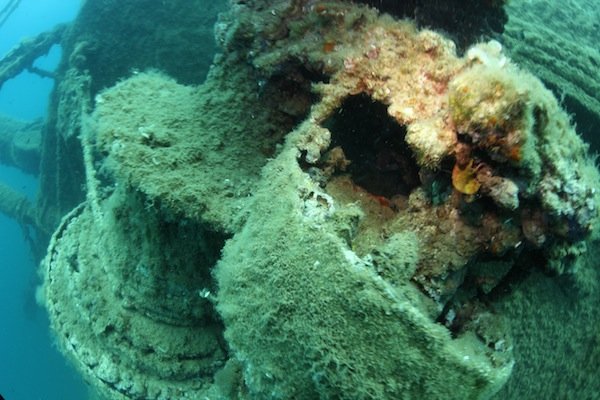 47. MV Probitas - Albánia - Hajóroncsok