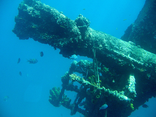 54. SS Antilla - Aruba - Hajóroncsok