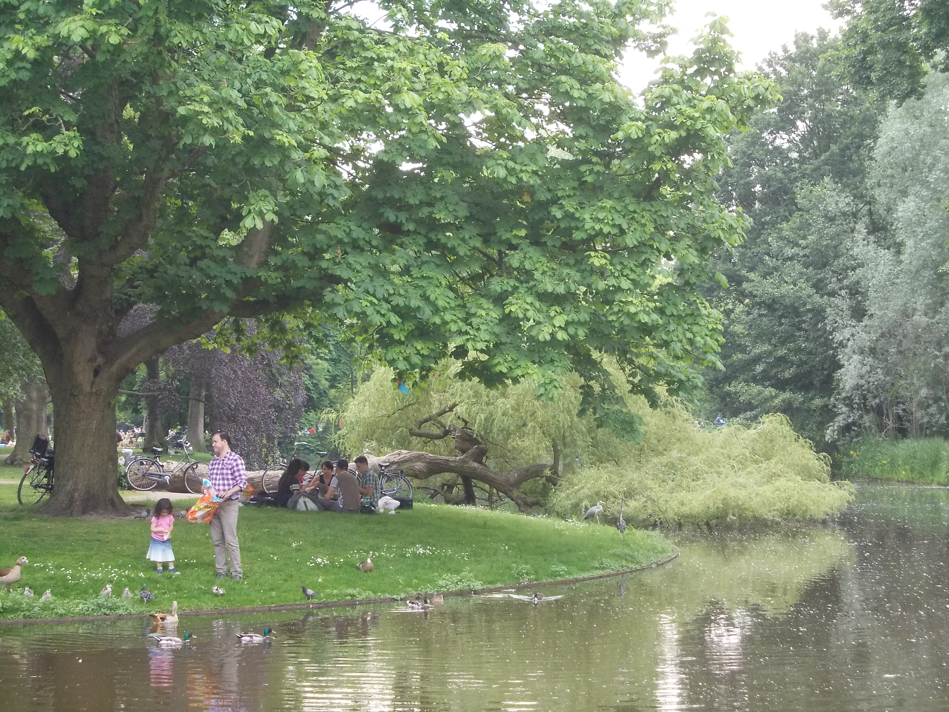 9 fantasztikus hét Izlandon - 1. rész - Having the Compass