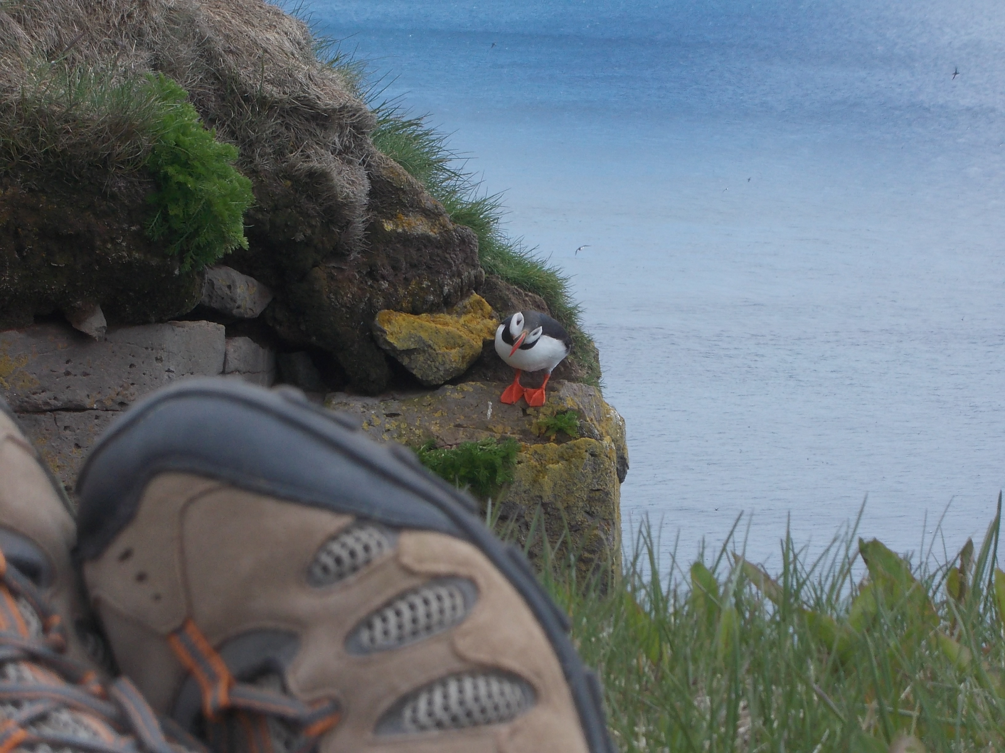 9 fantasztikus hét Izlandon - 1. rész - Having the Compass