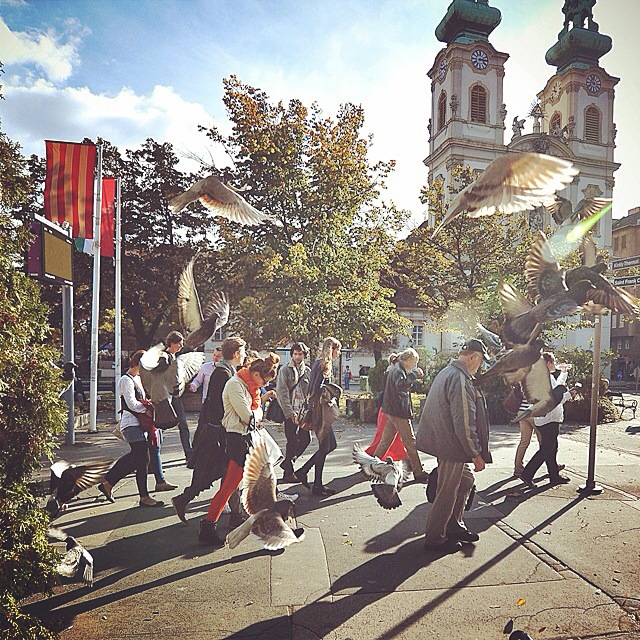 15 Merker Dávid (Hosszúlépés. Járunk?) - hello.idea