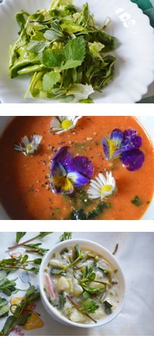 Kövér porcsin salátába ételekbe készítve avagy porcsin a kertemben és a ...