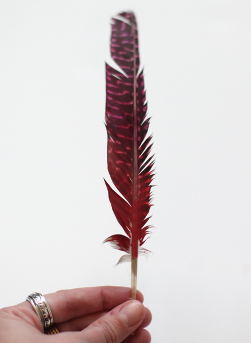 Festett tollak - Instant Life