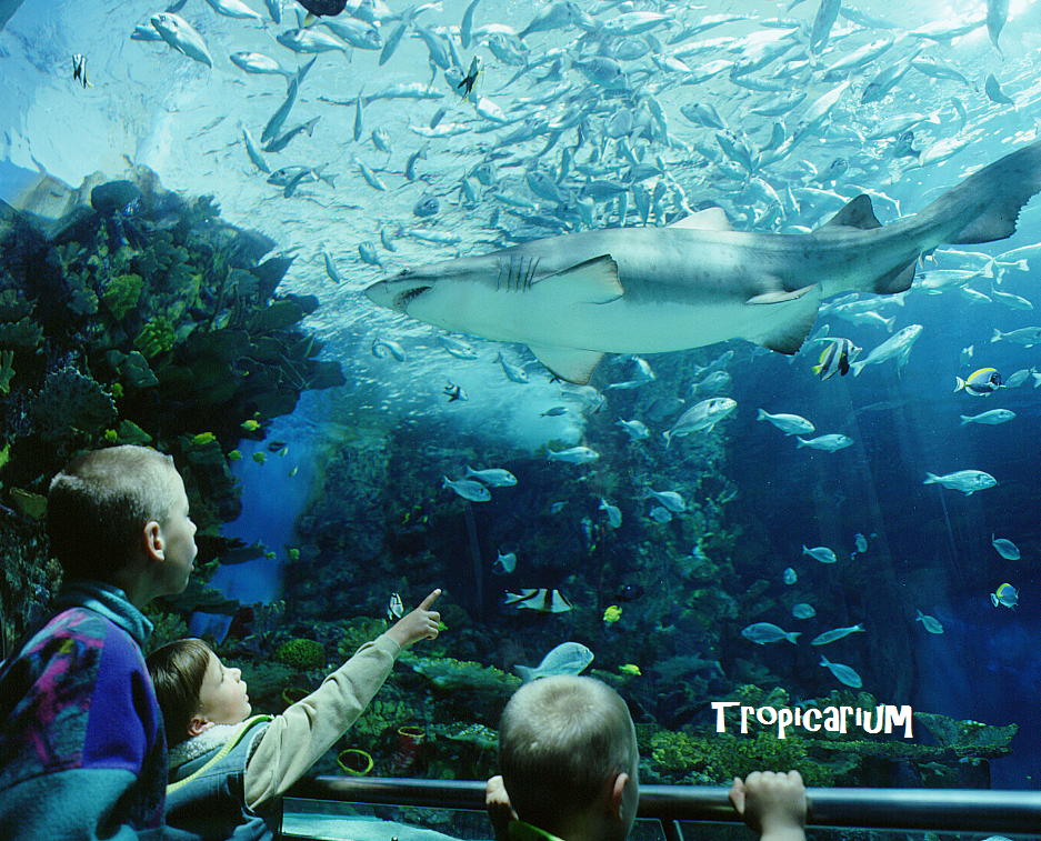 „Budapest, Budapest te csodás!” ezúttal a gyerekprogramok szempontjából ...