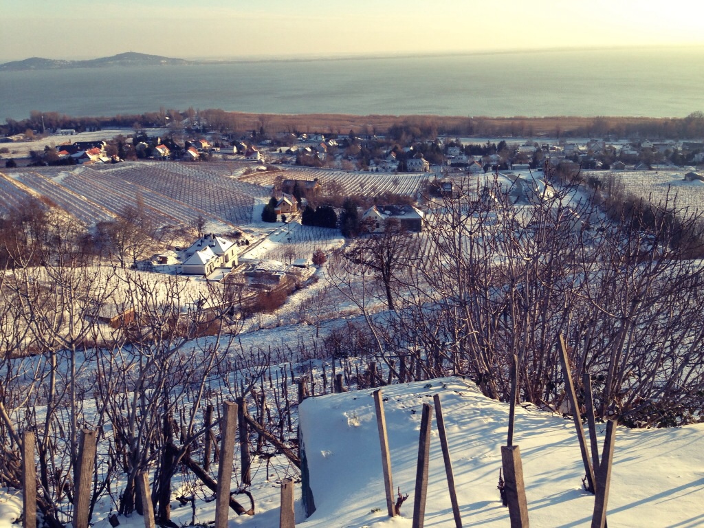 Ilyen a Balaton télen - katartik