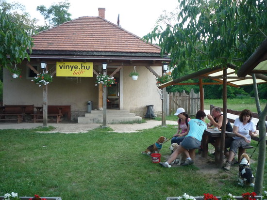 Vinye - Cuha szurdok - A Nagy család élete