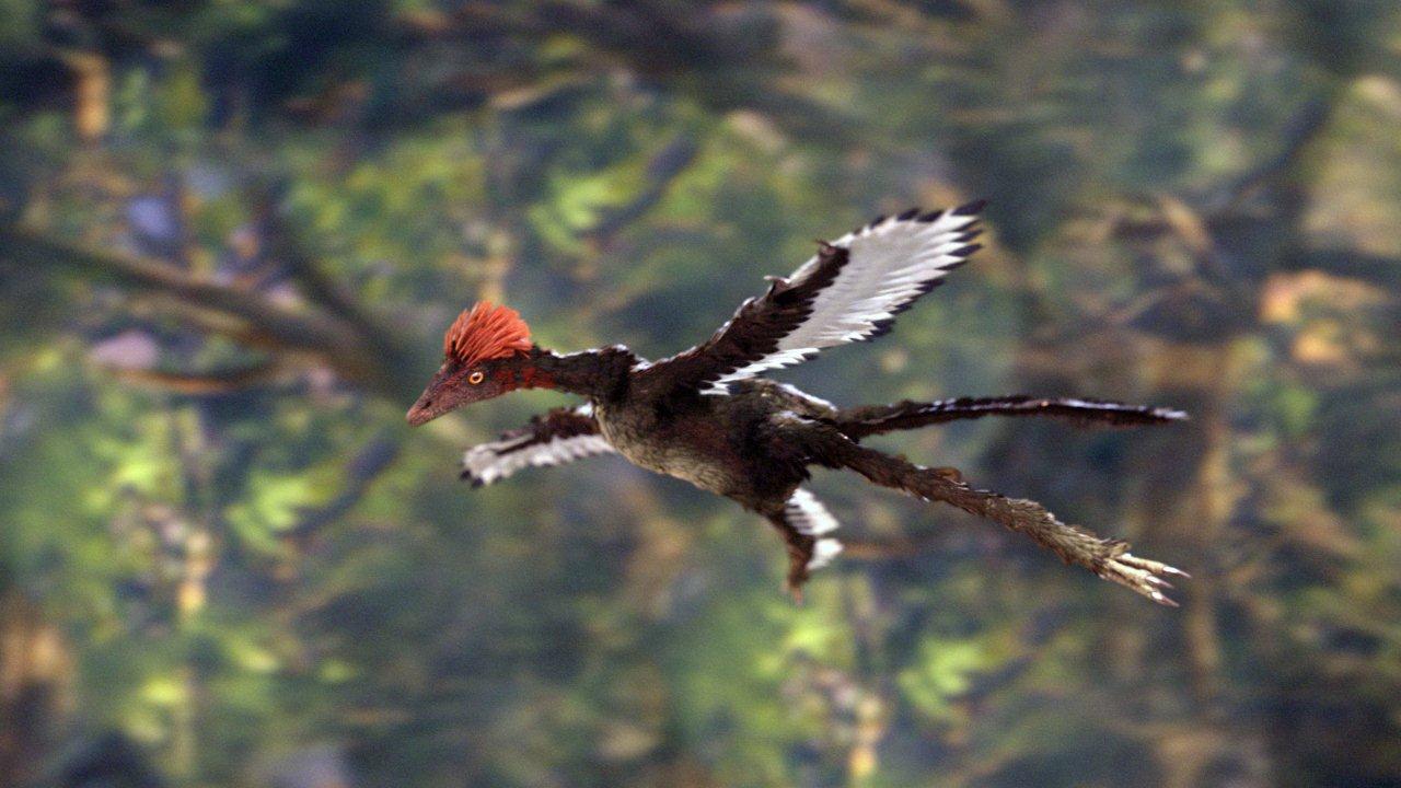 TERMÉSZETFILM EGY PROFITÓL - STB tollából