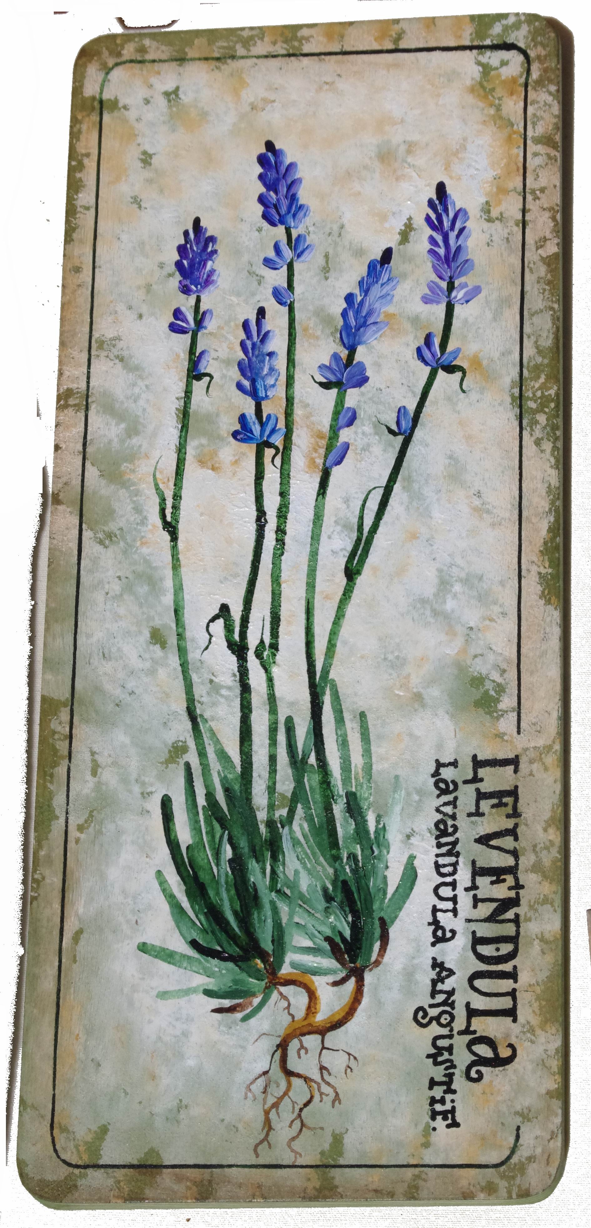 Solymosi Józsefné, Ica levendulász - Netfolk: népművészet, hagyományok