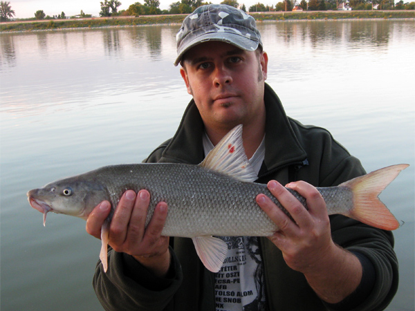 Márnák hava - Horgászkalandok