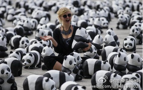 1600 panda a pályaudvaron - Pekingi Kacsa