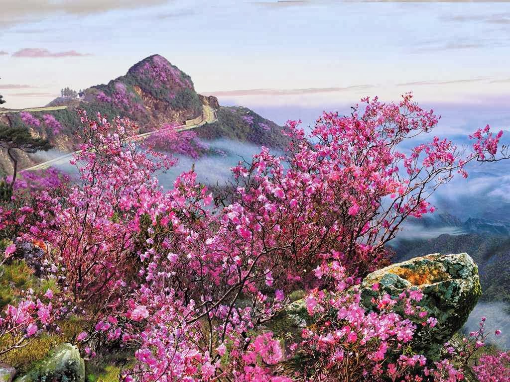 Íme az észak-koreaiak operációs rendszerének, a Red Star 3.0-nak a ...