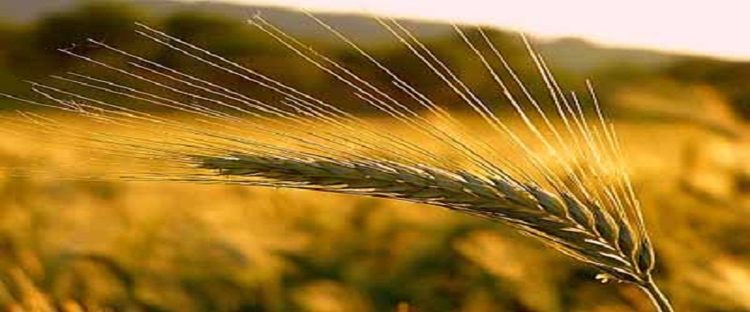 Életkör - AZ AMAZON - Szélnővérek Női Kör