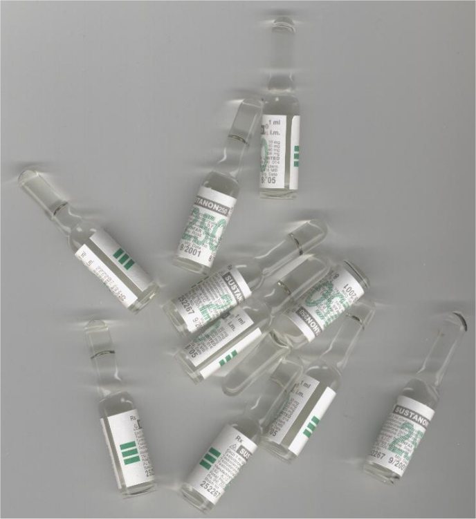 Infar/MSD India - Underground bodybuilding-know your gear