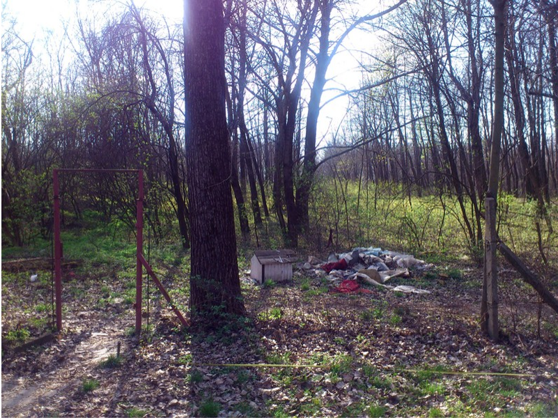 Kutyaiskola Dunaújvárosban - DUNA DOG CENTER