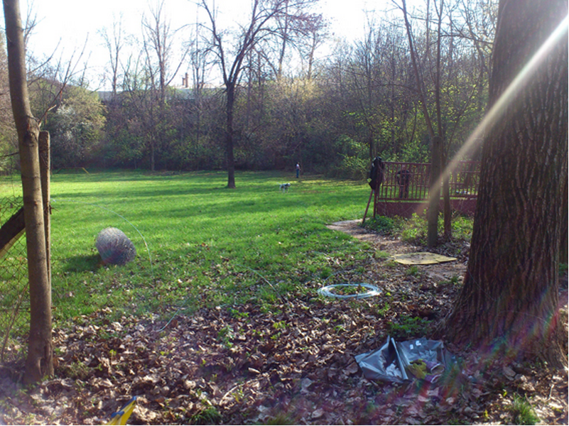 Kutyaiskola Dunaújvárosban - DUNA DOG CENTER