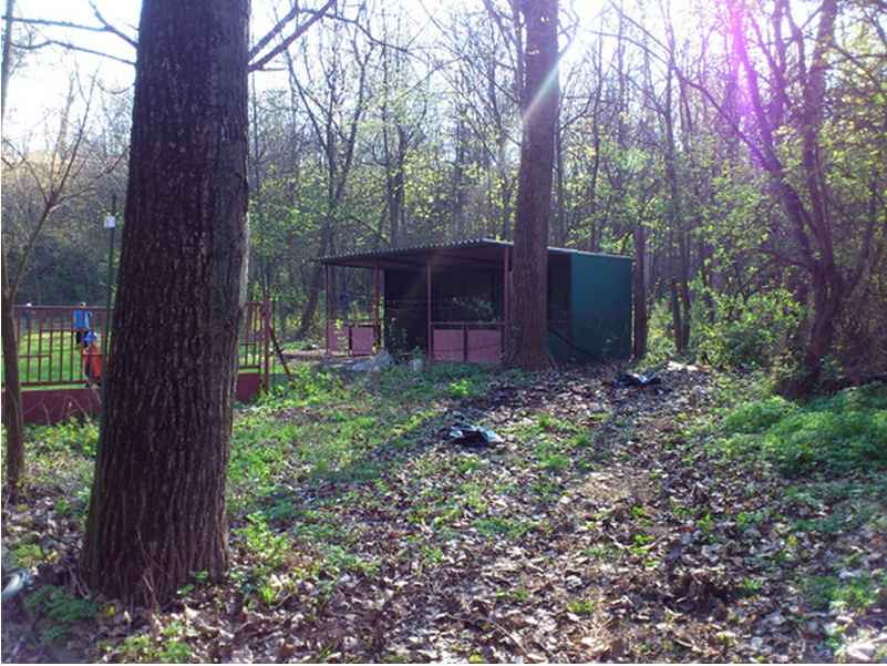 Kutyaiskola Dunaújvárosban - DUNA DOG CENTER