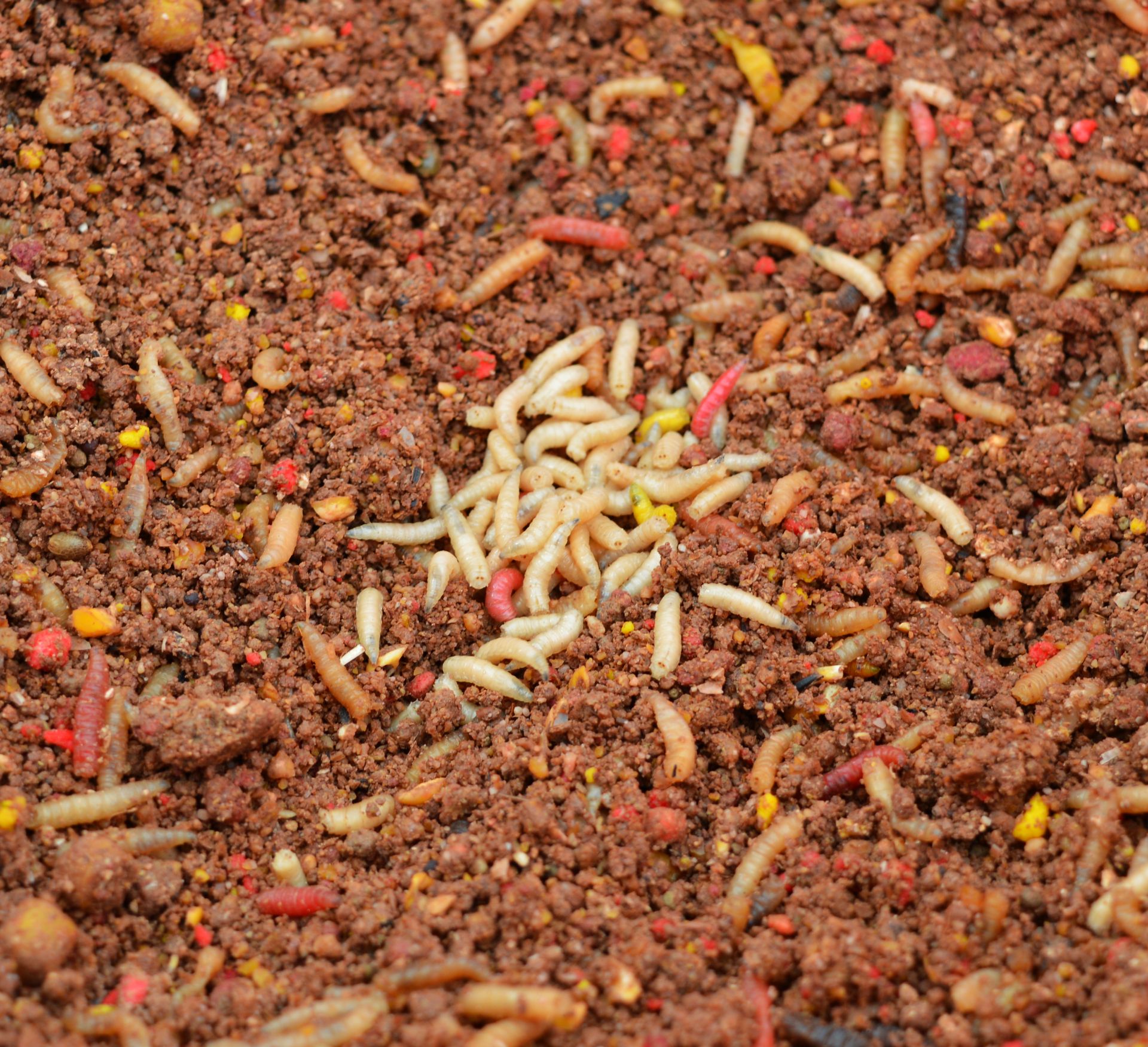 Szél fújta márnák - Vízparti randevúk