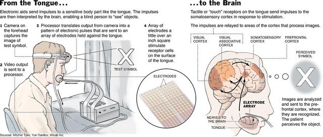 65. Az egyensúly íze - Voyager: a tudomány határain